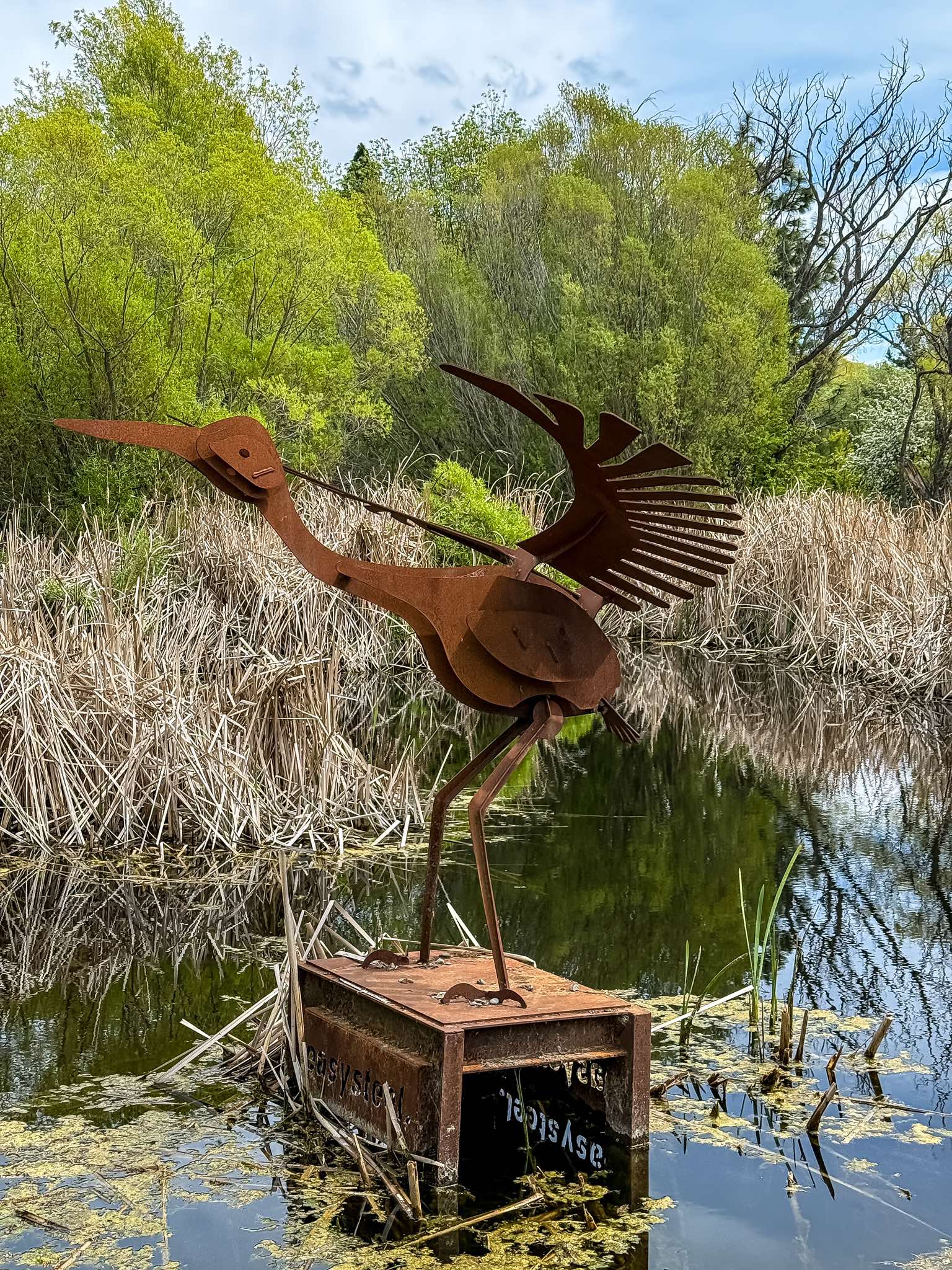 Best Dam Backyard Ultra – Otematata Wetlands